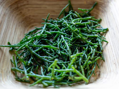 Queller | Rawismyreligion