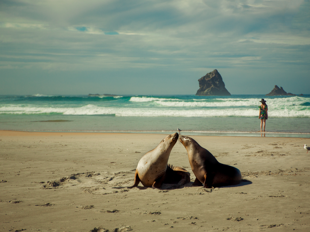 Sandfly Bay | Rawismyreligion
