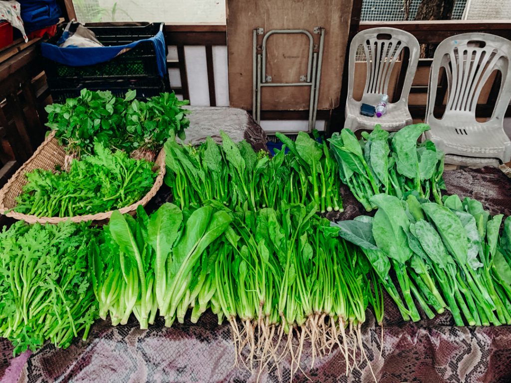 Tai Po Farmers’ Market | Rawismyreligion