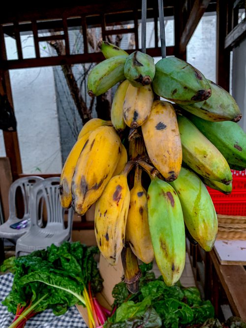 Tai Po Farmers’ Market | Rawismyreligion