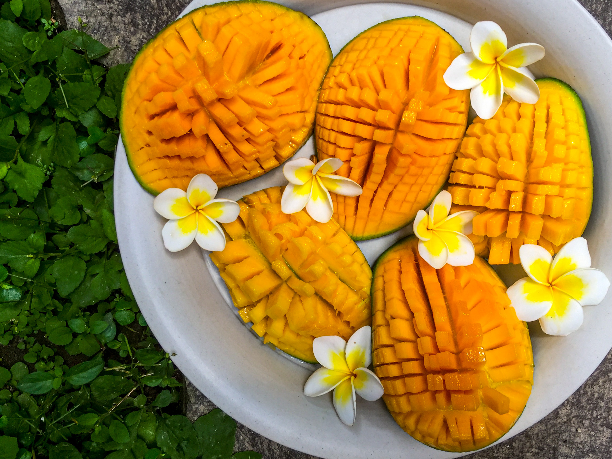 mango | Rawismyreligion