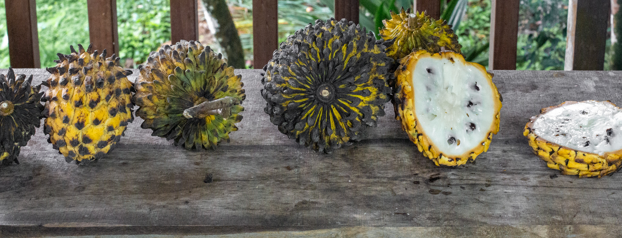 Biriba | Rawismyreligion