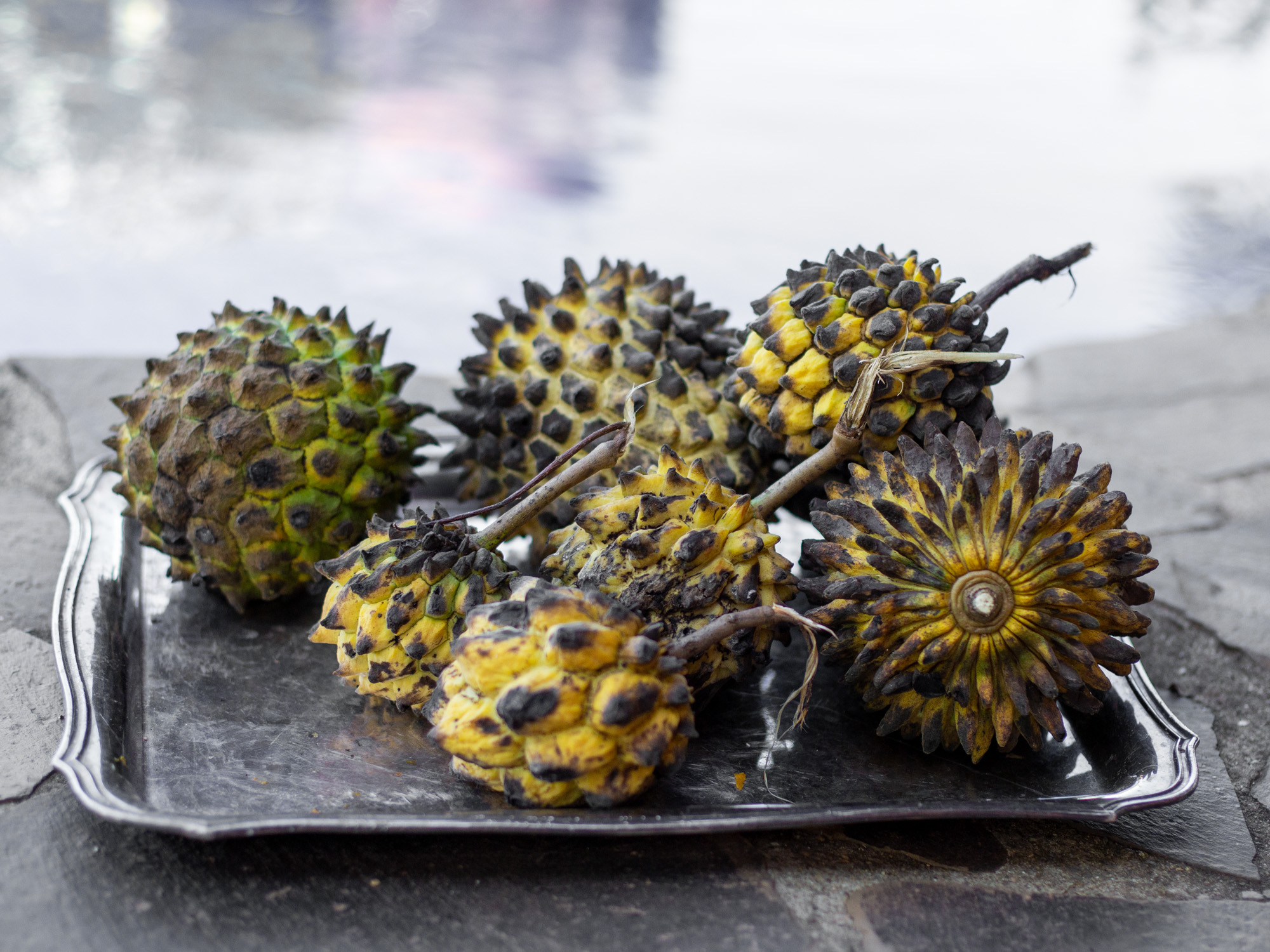 Biriba | Rawismyreligion