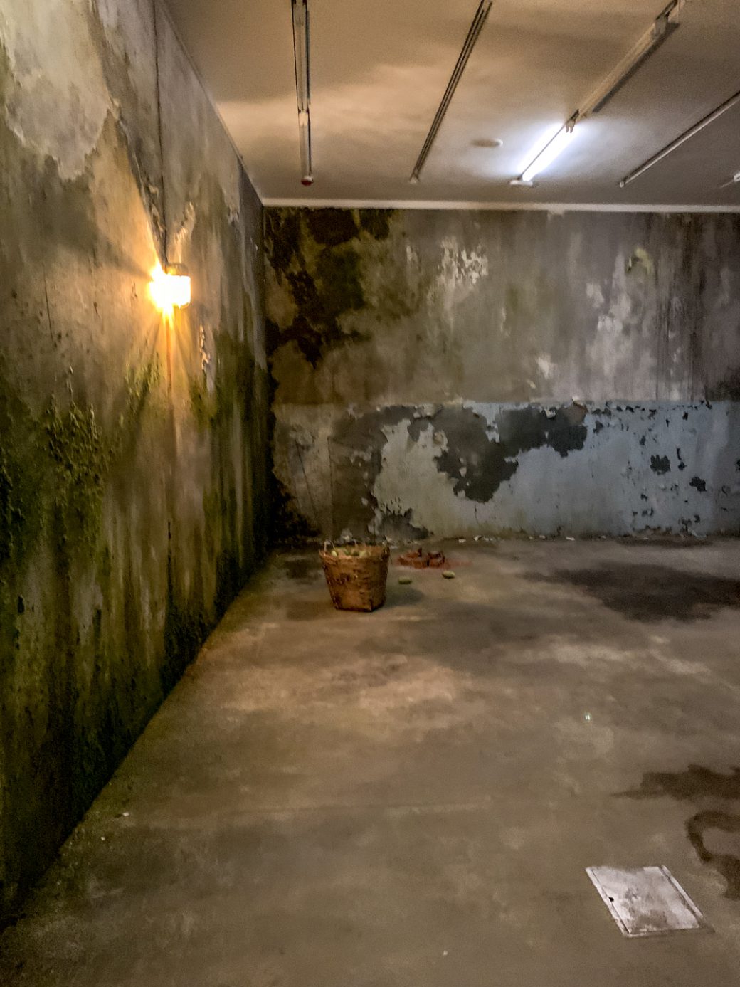 Tai Kwun Contemporary – JC Contemporary | Rawismyreligion