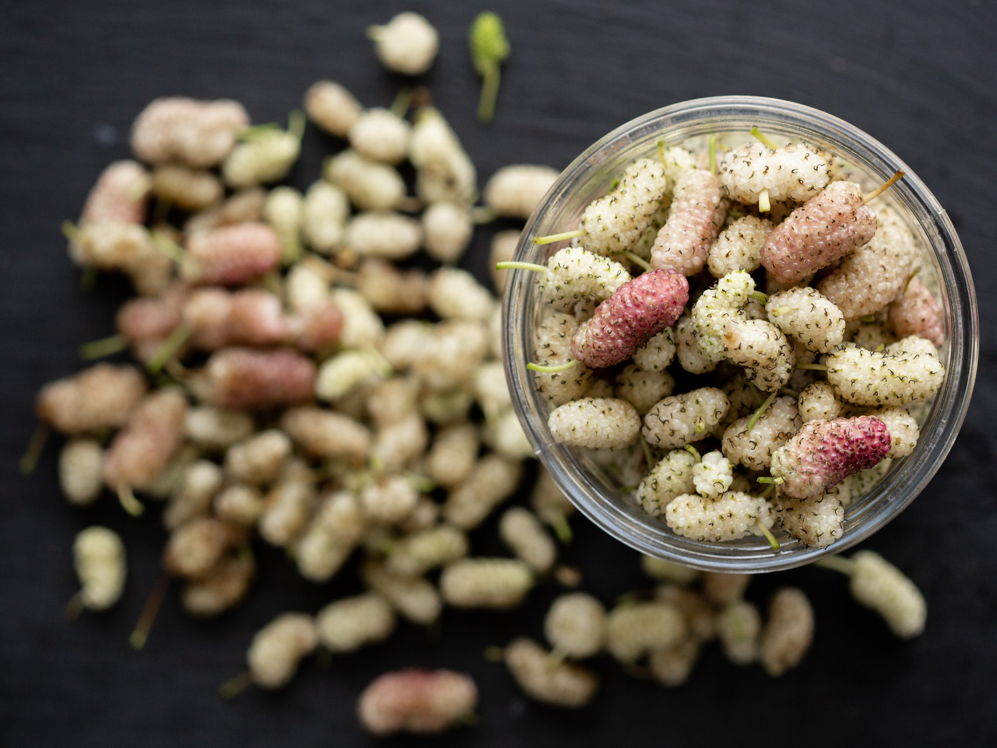 weiße Maulbeeren | Rawismyreligion