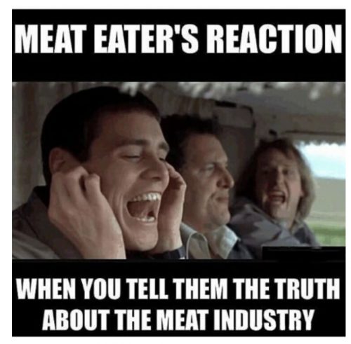 Best Vegan Memes | Rawismyreligion