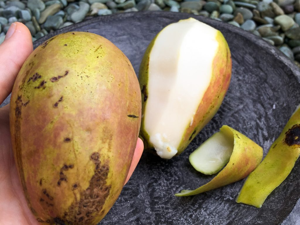 White Mango | Rawismyreligion